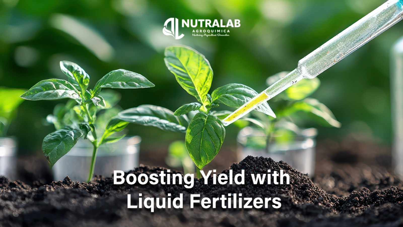 The Role of Liquid Fertilizers in Improving Crop Yield and Quality ...