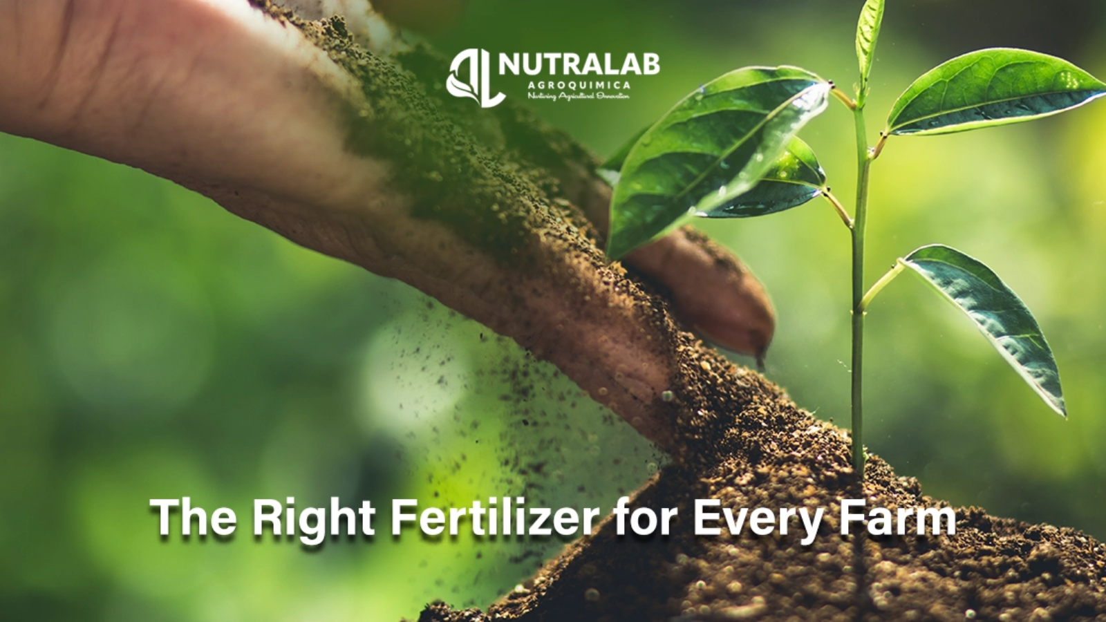 Farm Fertilizer: The Right Choice for Healthy Crops - Nutralab Agroquimica