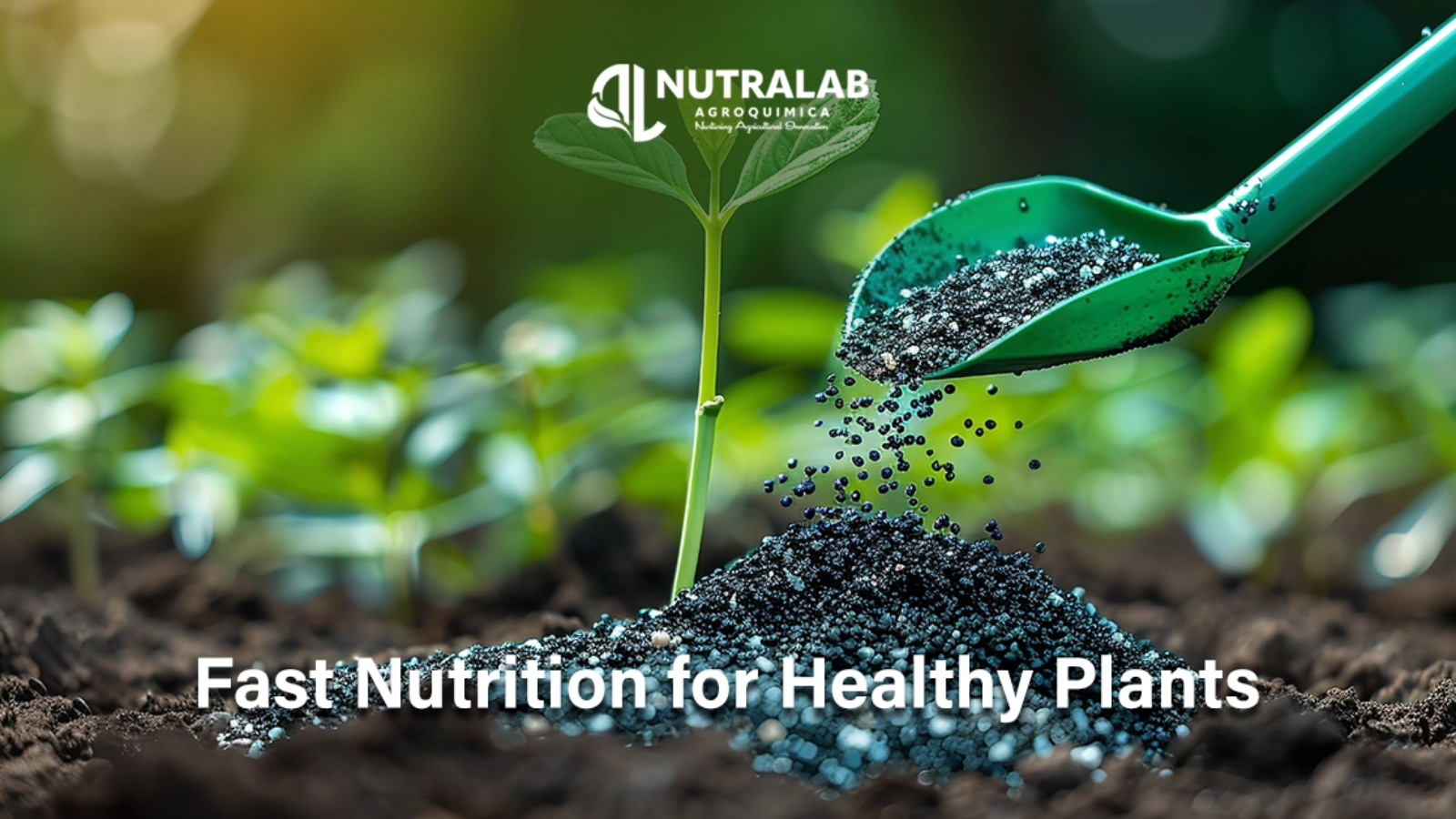 Liquid Fertilizers: Benefits, Uses & Application Methods - Nutralab ...
