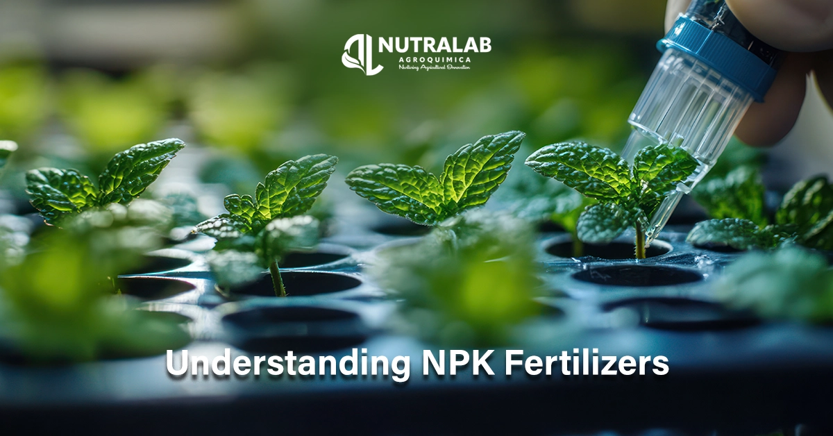 Choosing the Right NPK Fertilizer for Your Crops - Nutralab Agroquimica